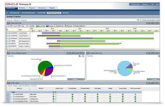 Primavera P6 Enterprise Project Portfolio Management - APP Consultoría