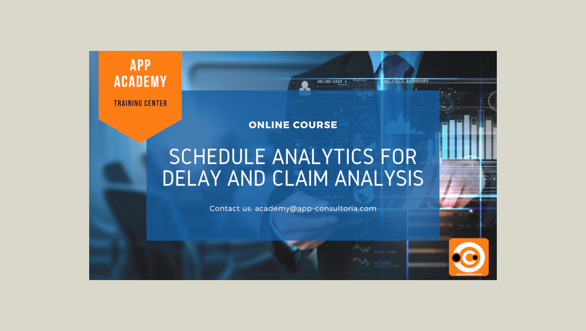 Schedule Analytics for Delay and Claim Analysis - Online Training - APP Consultoria