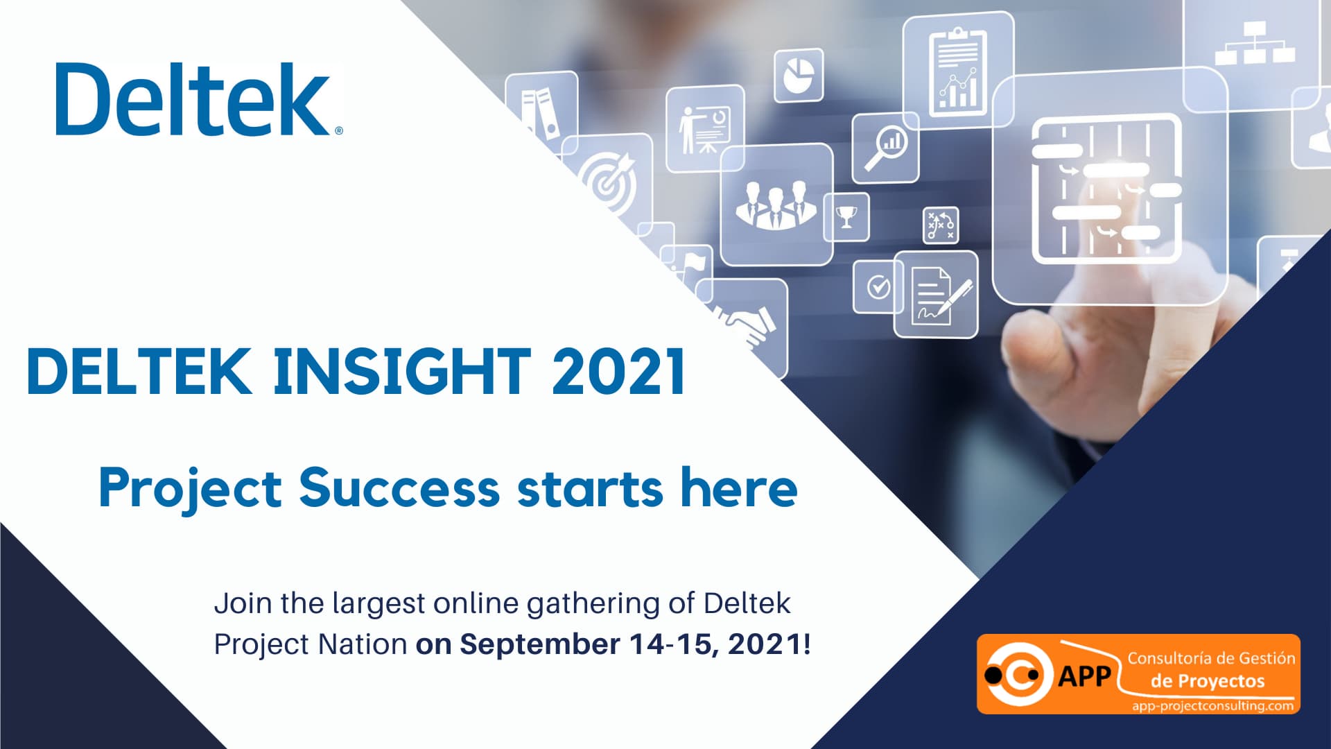 Deltek Insight 2021 - APP Consultoria